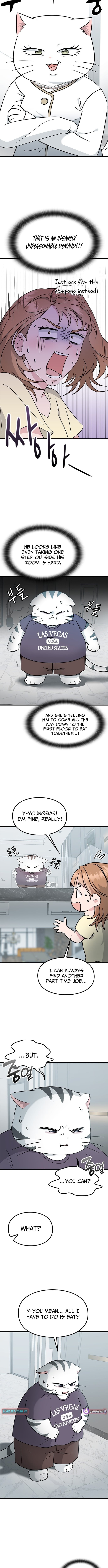 What If Everyone in the World Were a Cat? - Chapter 4 - UTOON